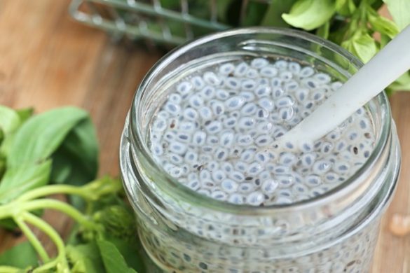 Homemade Basil Seed Drink Recipe - WarningSugaryGoodness